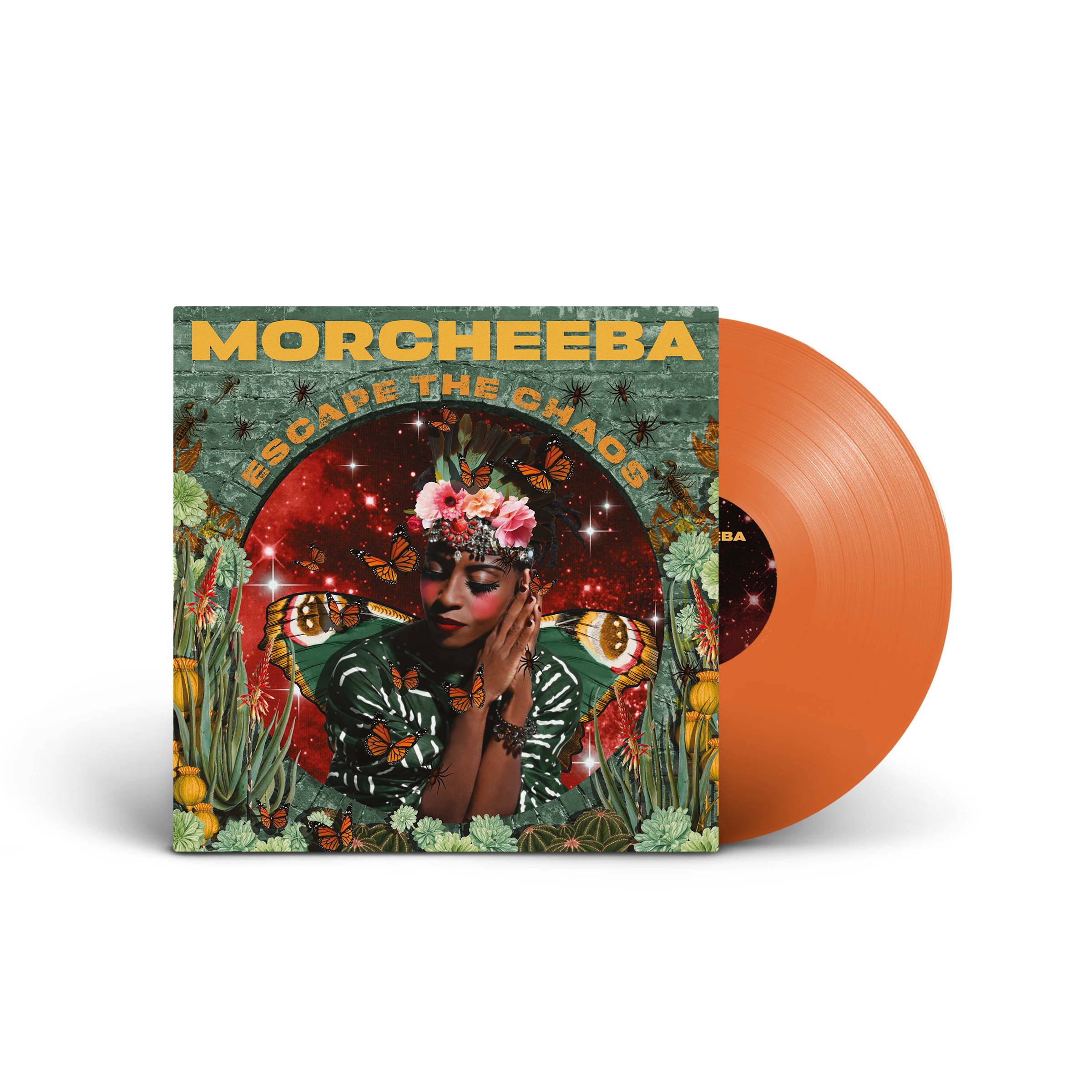Morcheeba Official
